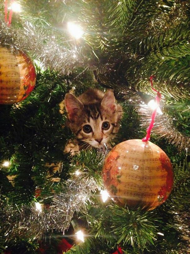 Creative Christmas Cards That Deserve an Award – Page 80