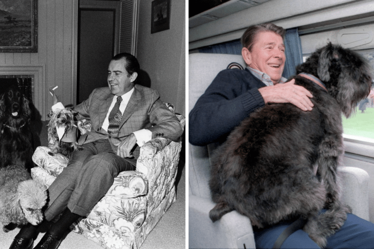 Presidents of the United States and Their Beloved Pets